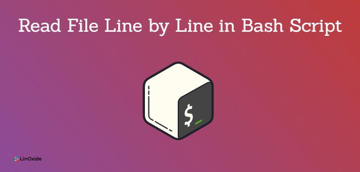 How To Read File Line By Line In Bash Script