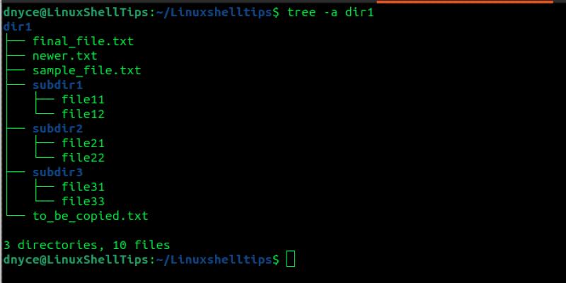 How To Copy Directory Structure Without Files In Linux